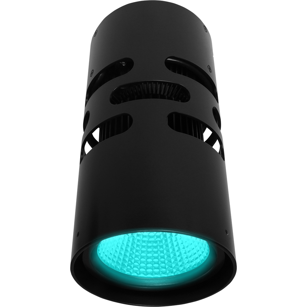 Freedom Colour - Digilin